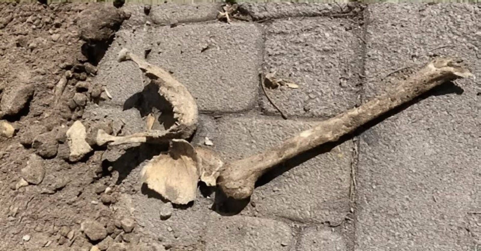 Hallan restos humanos frente al hospital Jesús del Rosal - Plaza Juarez